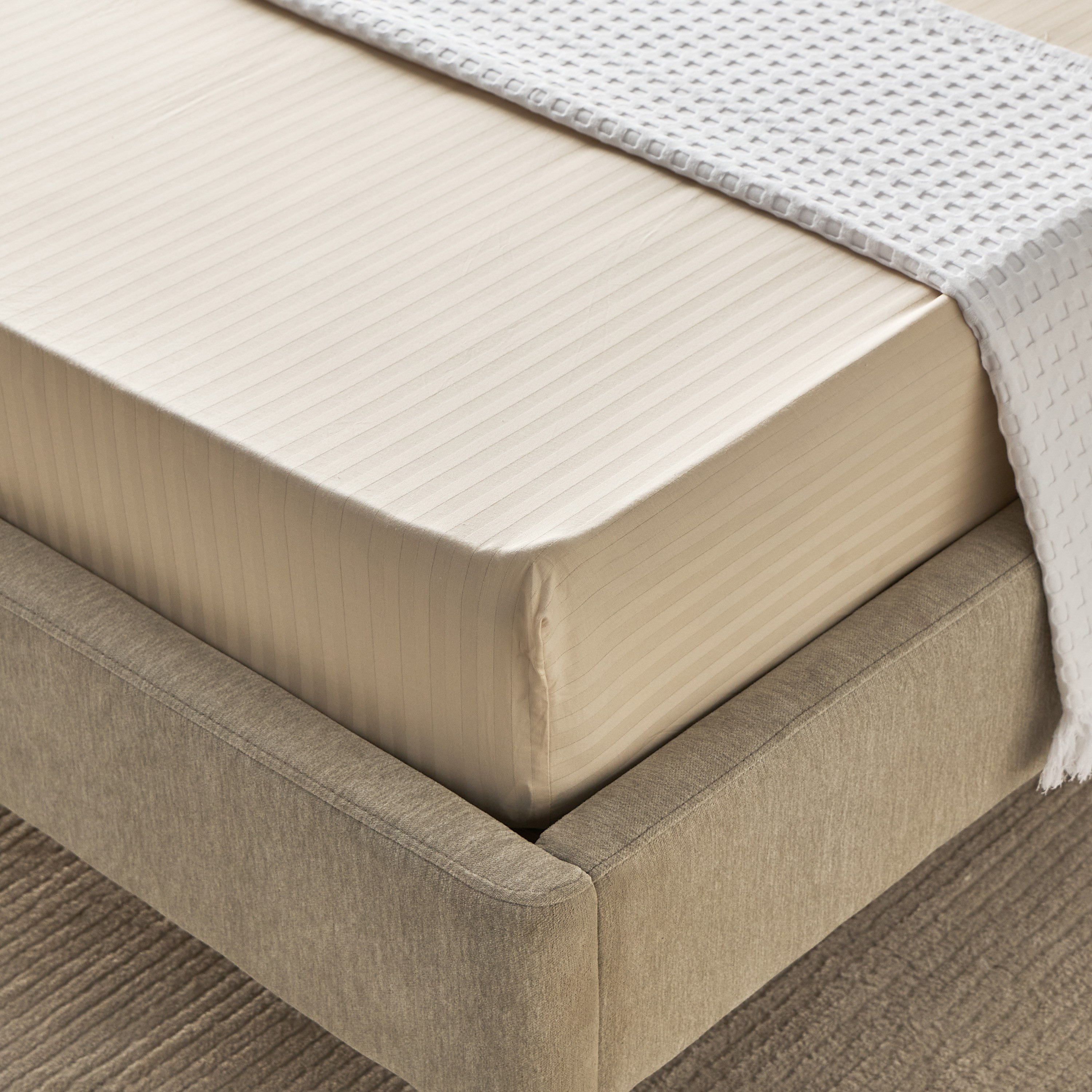 Shop Hamilton Satin Stripe Twin Fitted Sheet - 120x200 36 cm Online ...