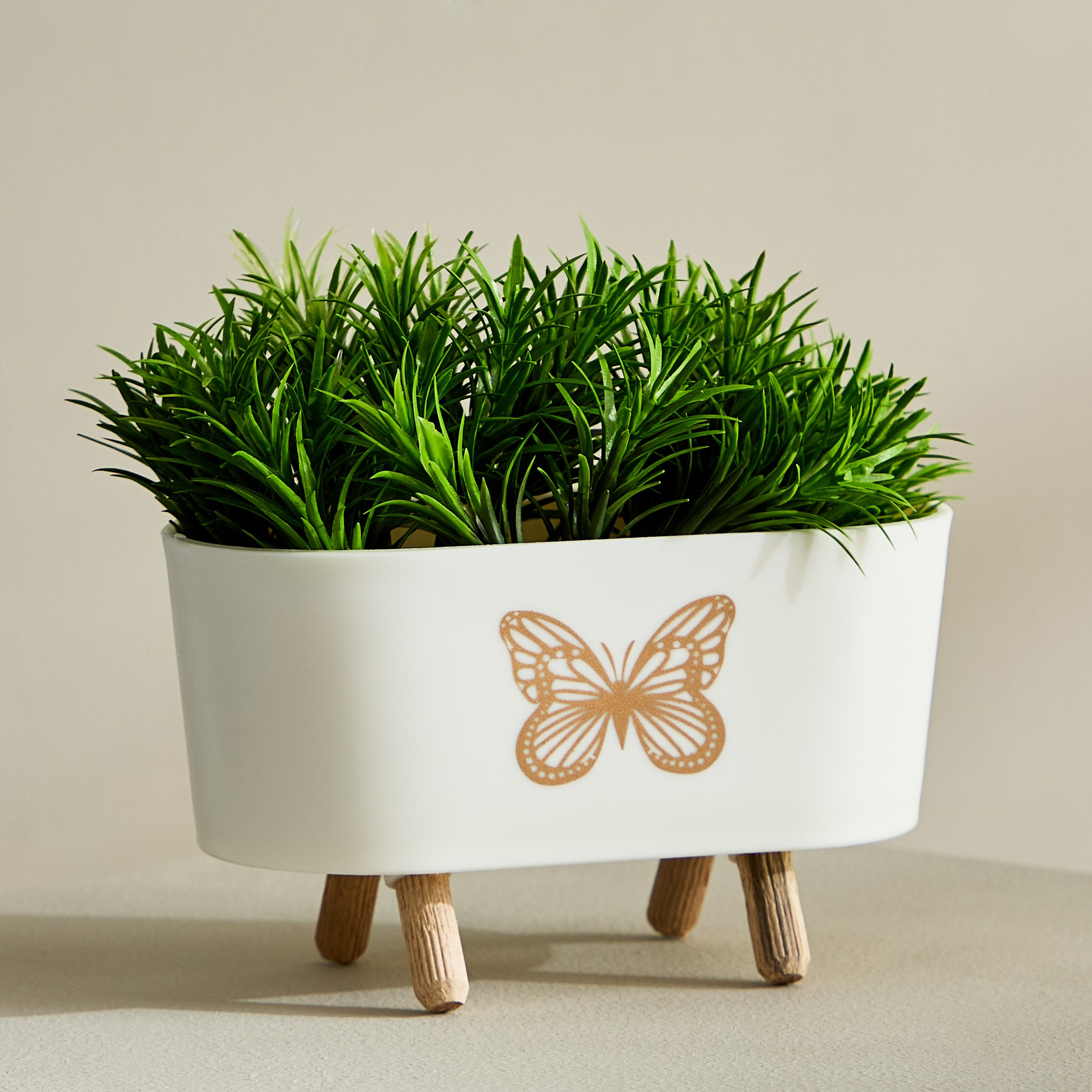 اشتري نبات في وعاء مستطيل بأرجل من تاريا - 14x8x14 سم أونلاين | هوم ...