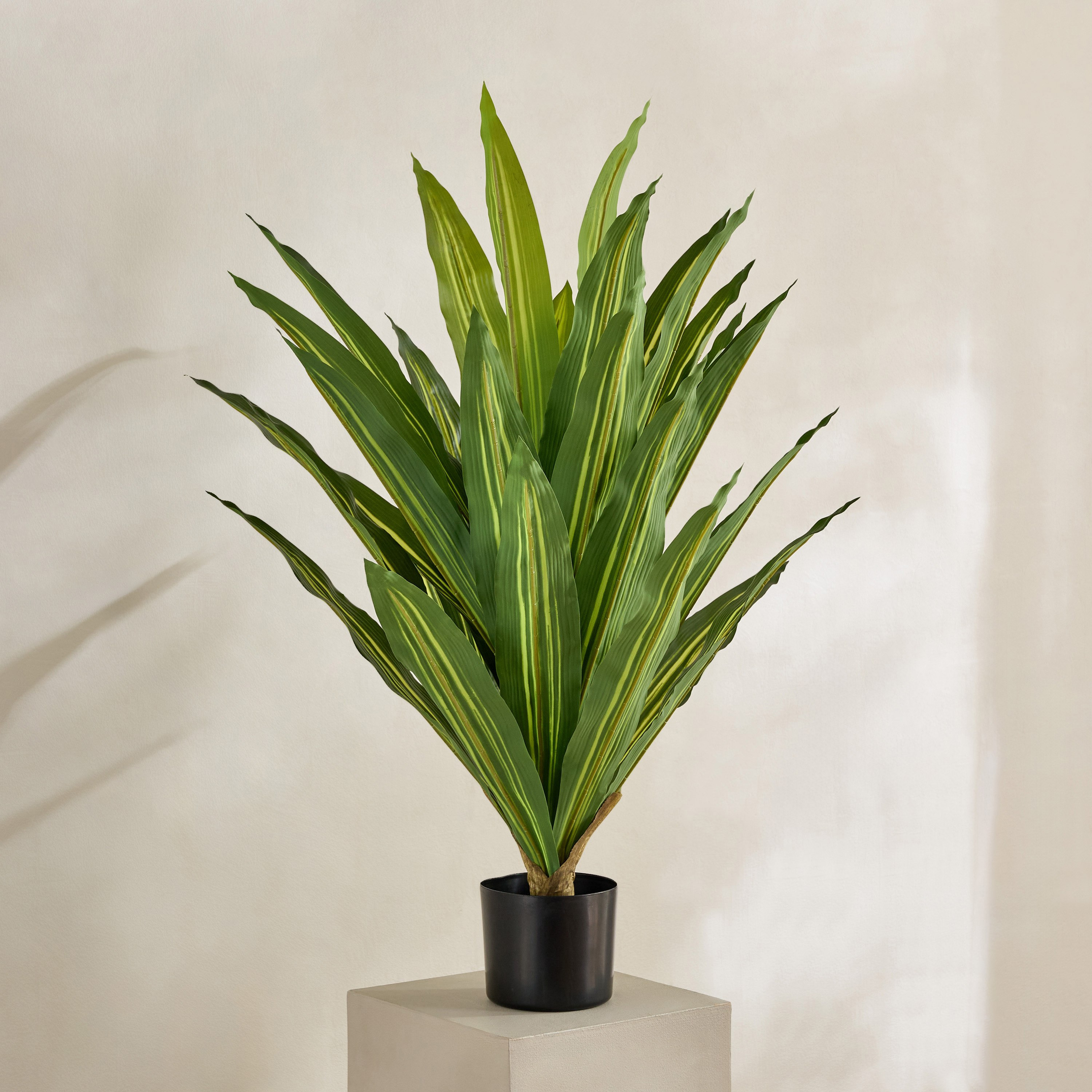 Buy Evergreen Artificial Massangeana Potted Plant - 90 cm Online in KSA ...