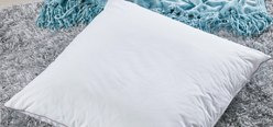 Buy Essential Microfiber Cushion Filler - 50x50 cm Online in UAE | Homebox